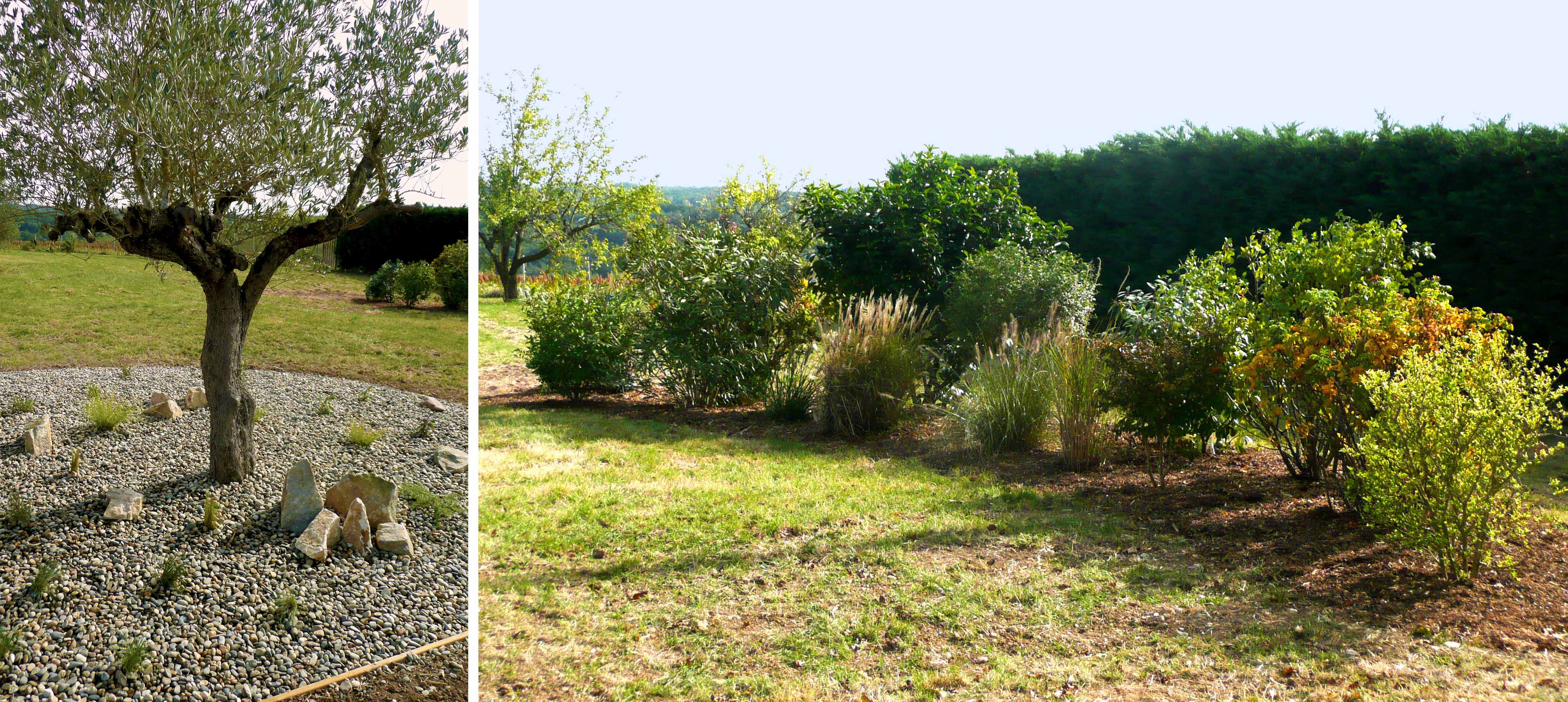 Autour du végétal | Constans Paysage